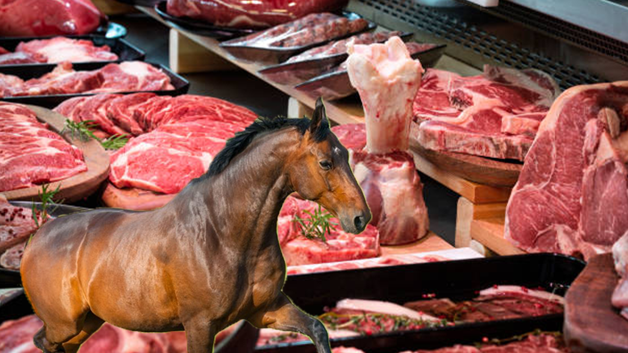 Marketteki Etin At Eti Olduğu Nasıl Anlaşılır? Uzmanlar Uyardı ...